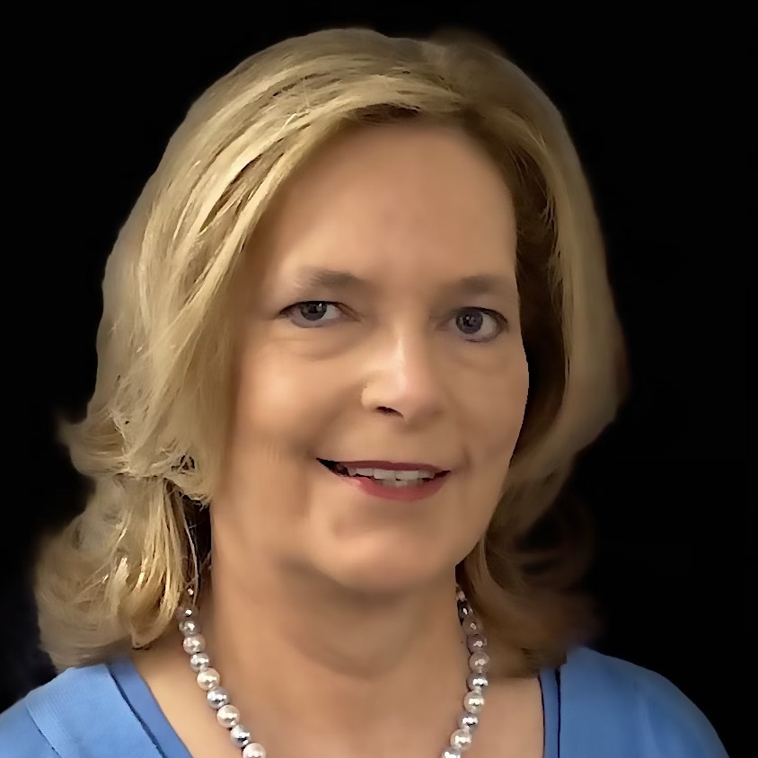 Members - Committee for Safe and Secure Elections